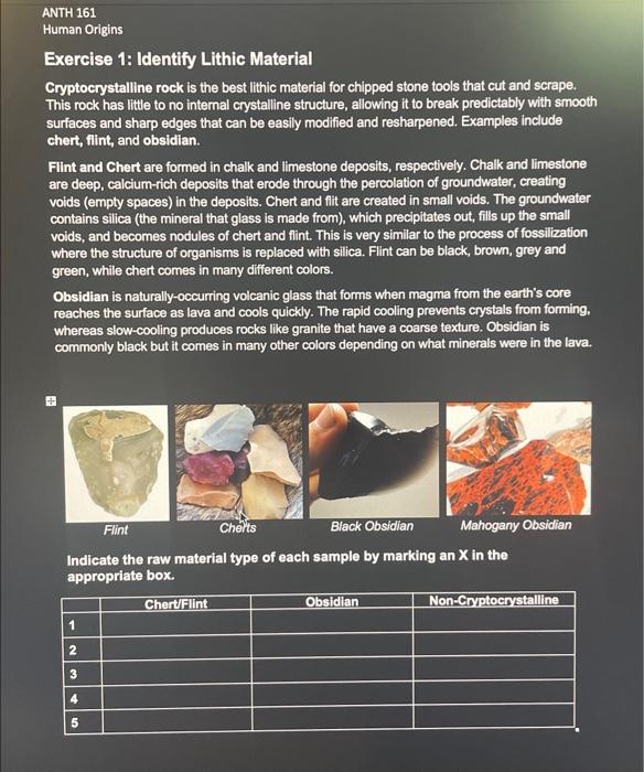 ANTH 161 Human Origins Exercise 1: Identify Lithic | Chegg.com