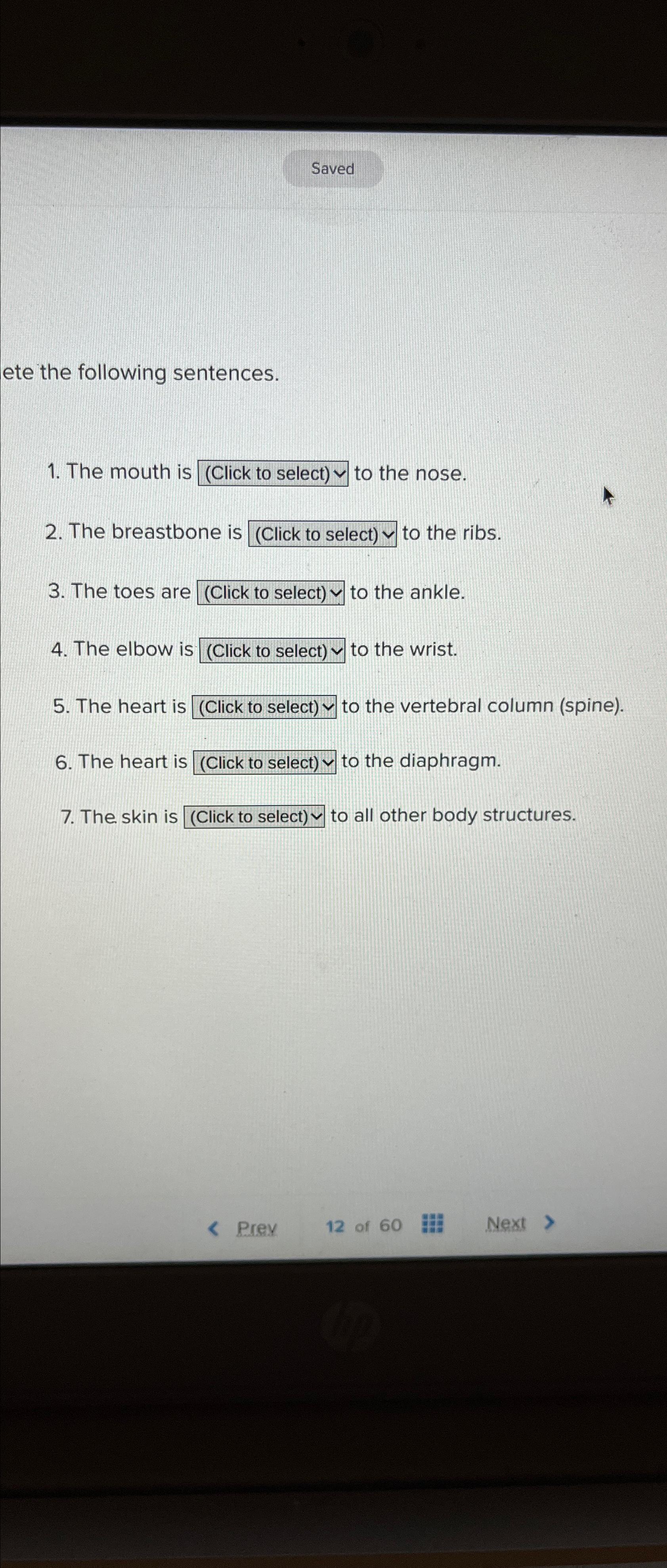 Solved Savedete the following sentences.The mouth is (Click | Chegg.com