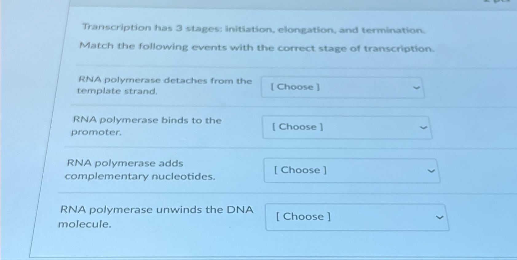 Solved Transcription has 3 ﻿stages: initiation, elongation, | Chegg.com