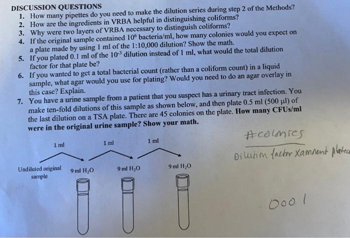 Solved DISCUSSION QUESTIONS 1. How many pipettes do you need | Chegg.com