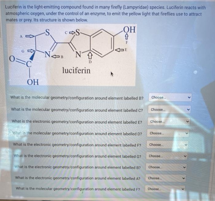 Solved Luciferin is the light-emitting compound found in | Chegg.com