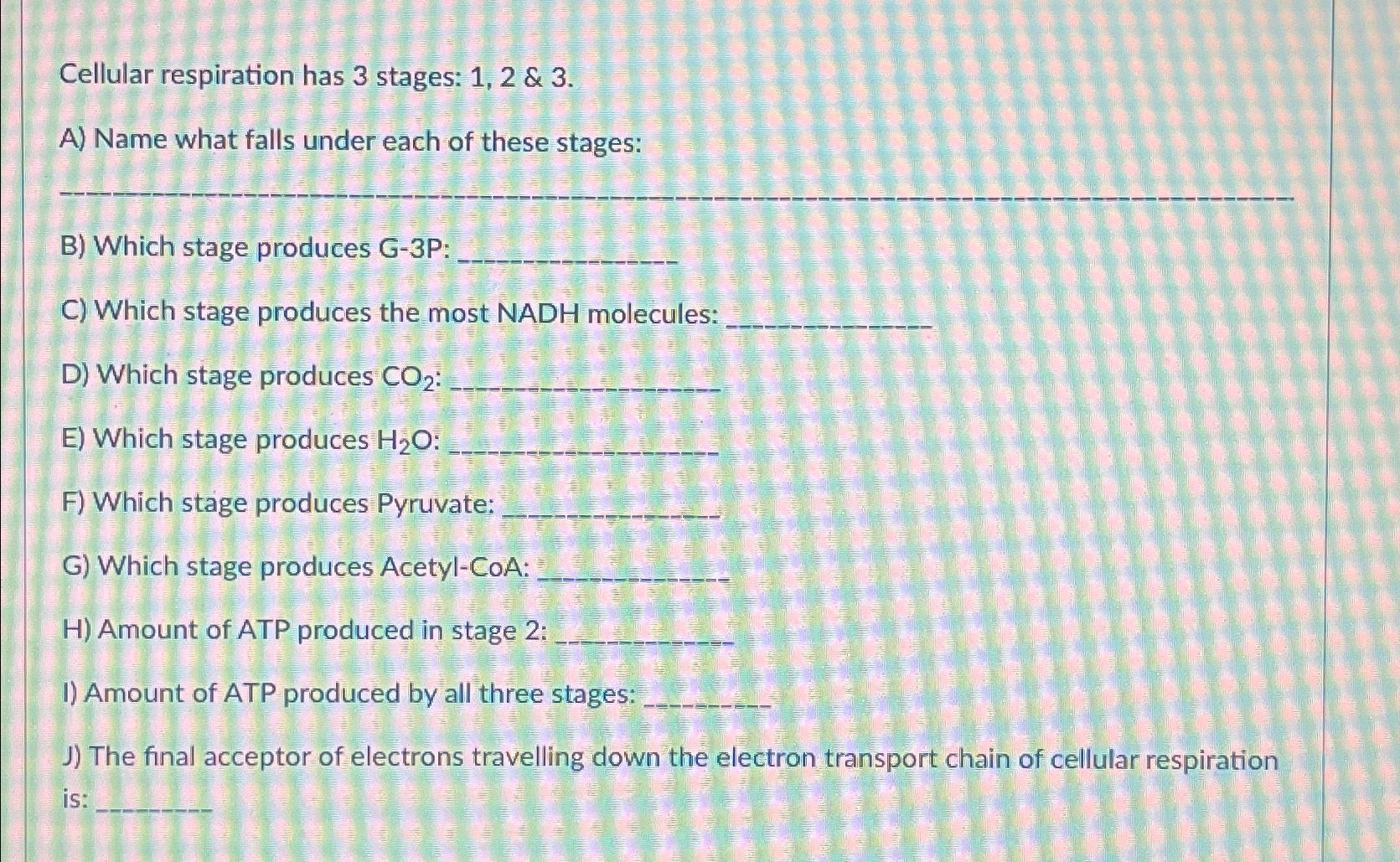 Solved Cellular respiration has 3 ﻿stages: 1,2&3.A) ﻿Name | Chegg.com