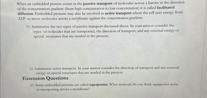 Model 2 - Selectively Permeable Cell Membrane | Chegg.com