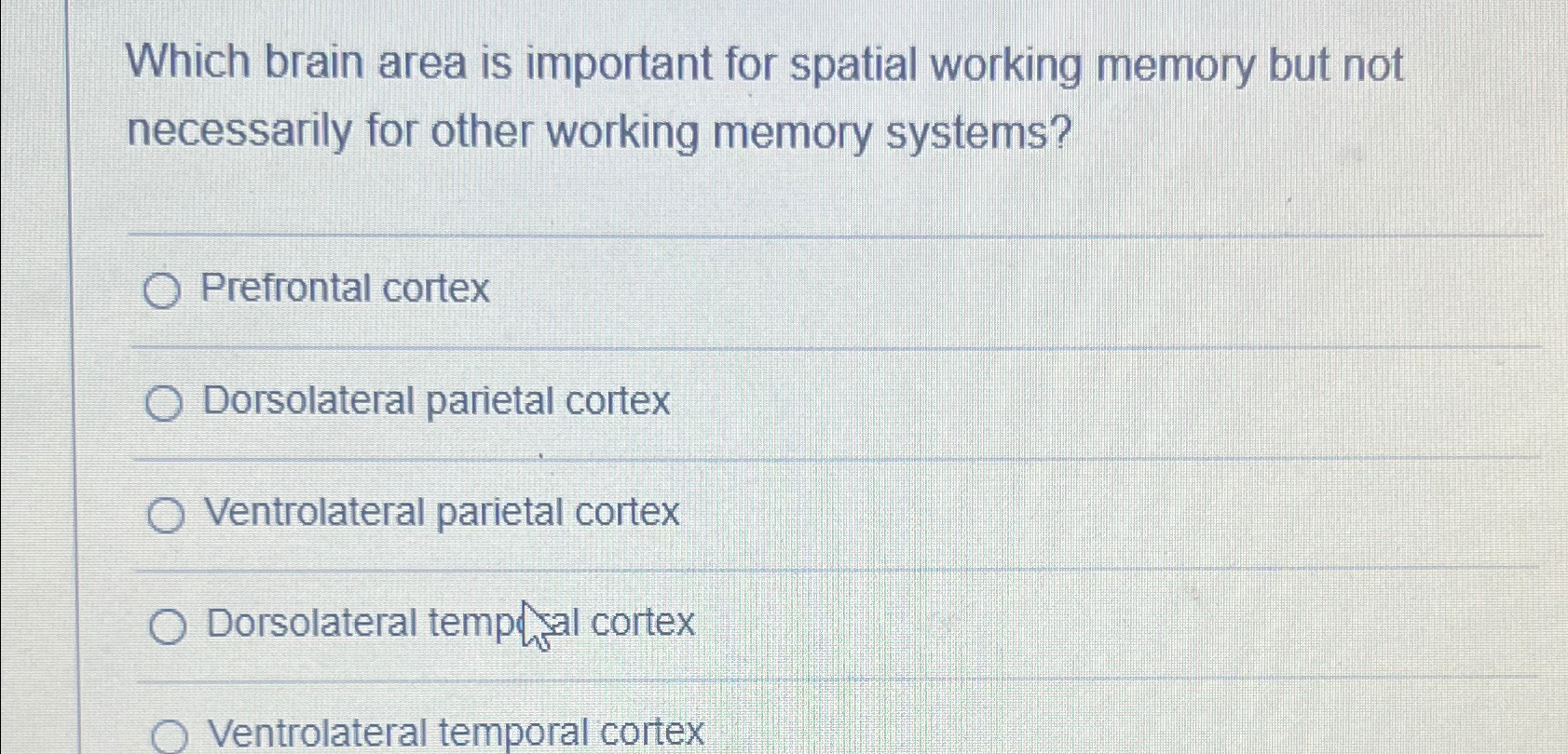 Solved Which brain area is important for spatial working | Chegg.com