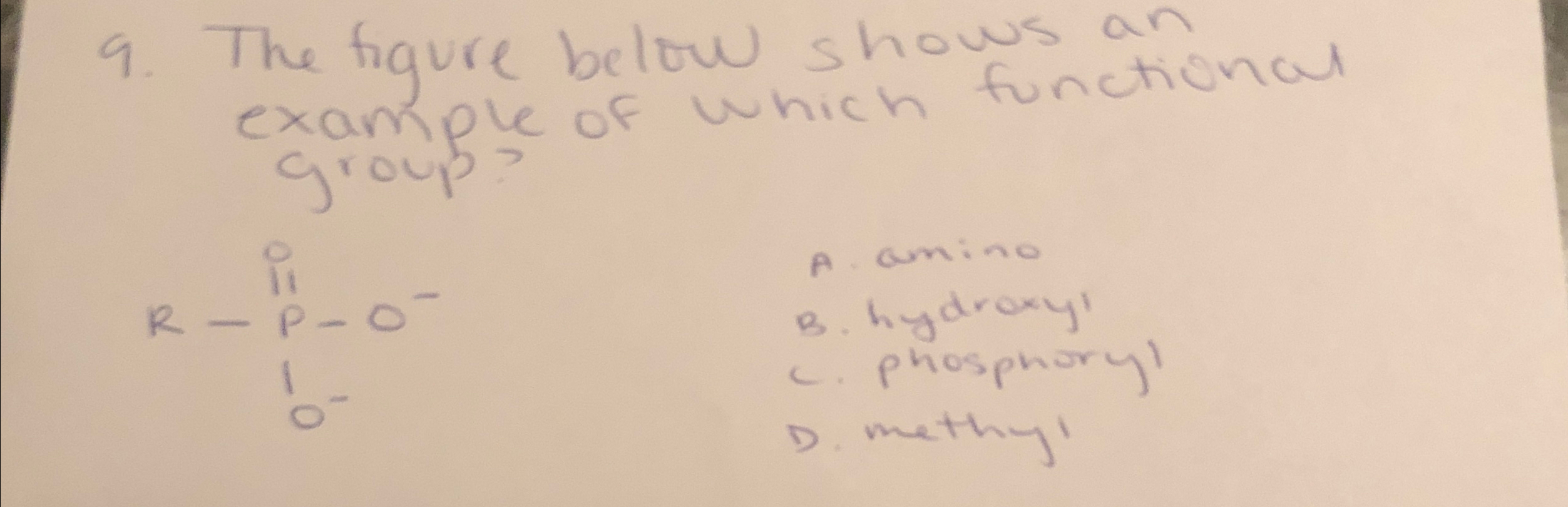Solved The figure below shows an example of which functional | Chegg.com