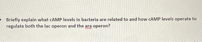 Solved - Briefly explain what CAMP levels in bacteria are | Chegg.com