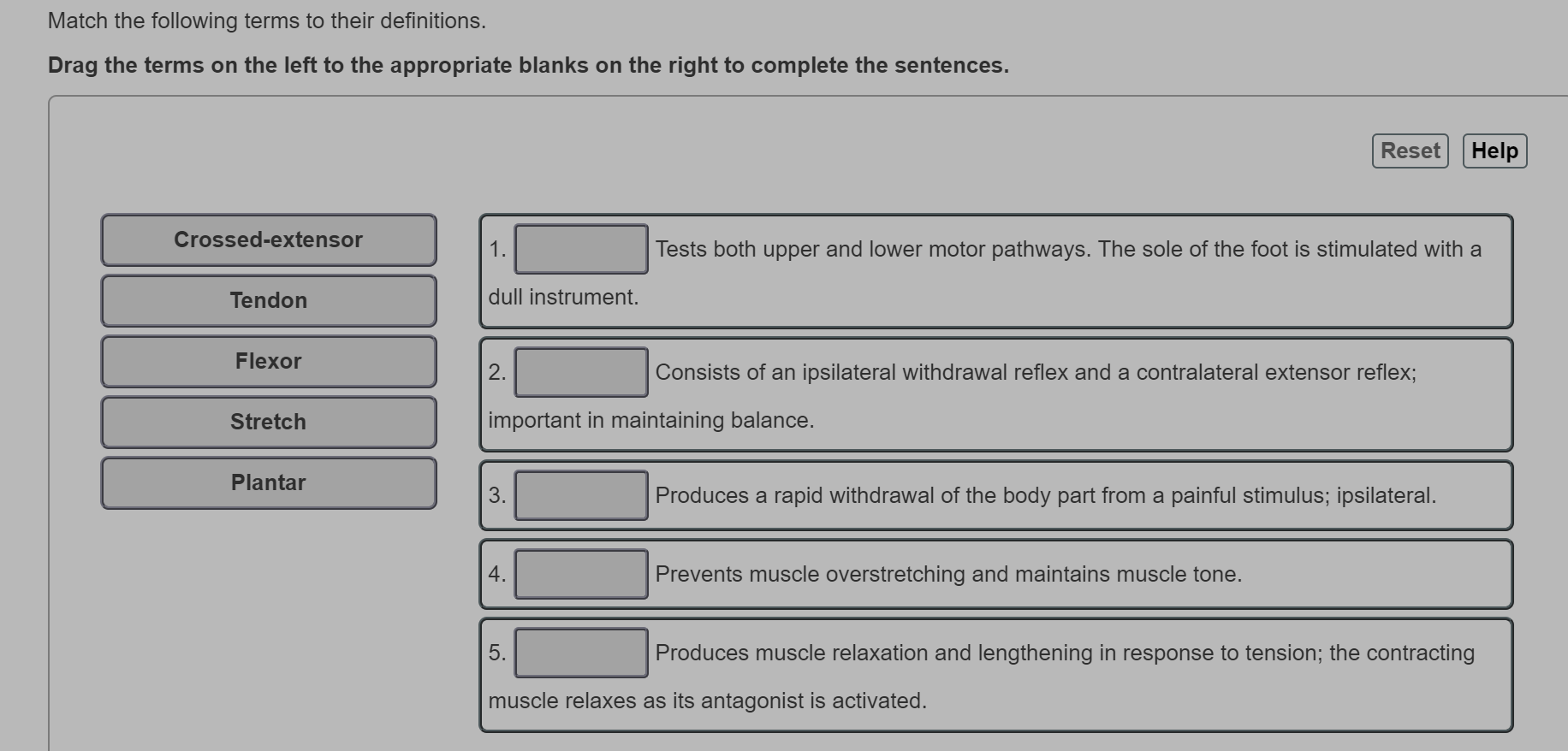 Solved Match the following terms to their definitions.Drag | Chegg.com