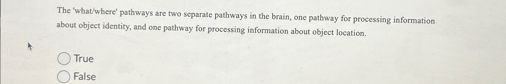 Solved The 'what/where' ﻿pathways are two separate pathways | Chegg.com