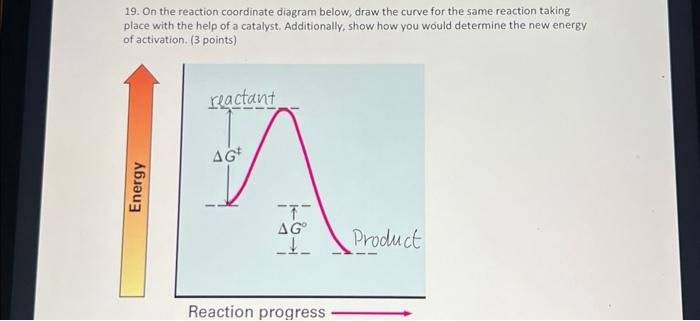 Solved 19 On The Reaction Coordinate Diagram Below Draw