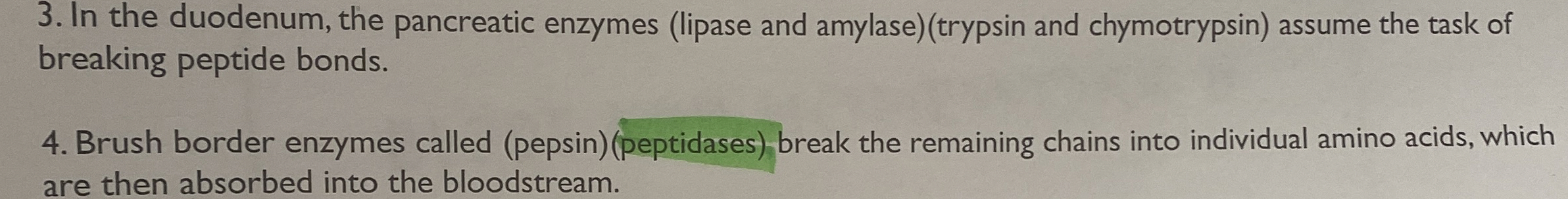 Solved In the duodenum, the pancreatic enzymes (lipase and | Chegg.com