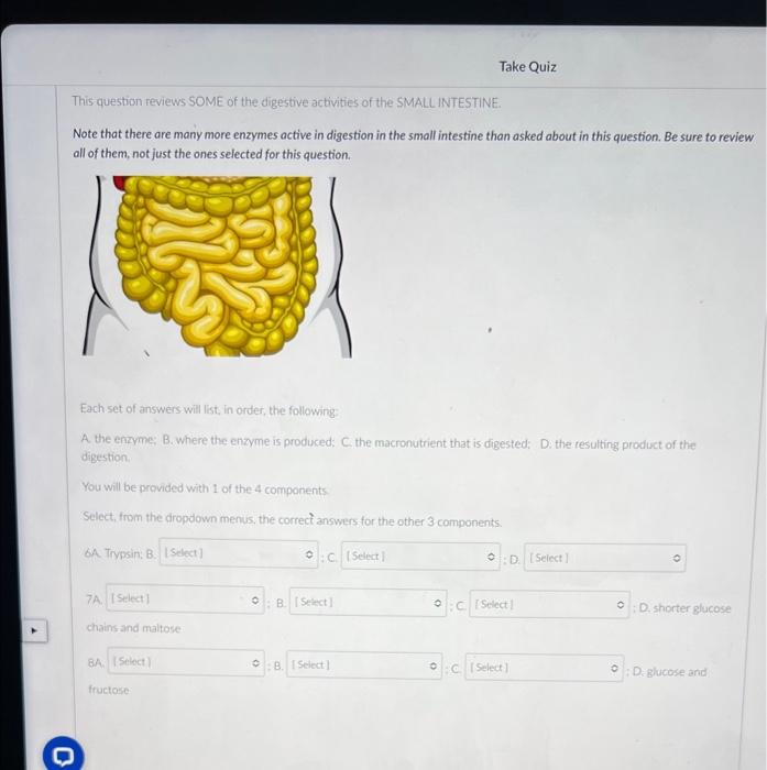 Solved Question 1: This question reviews the digestive | Chegg.com