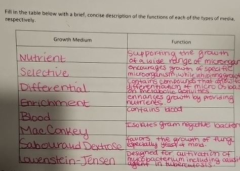 Solved Fill in the table below with a brief, concise | Chegg.com