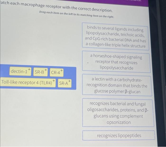 Solved atch each macrophage receptor with the correct | Chegg.com
