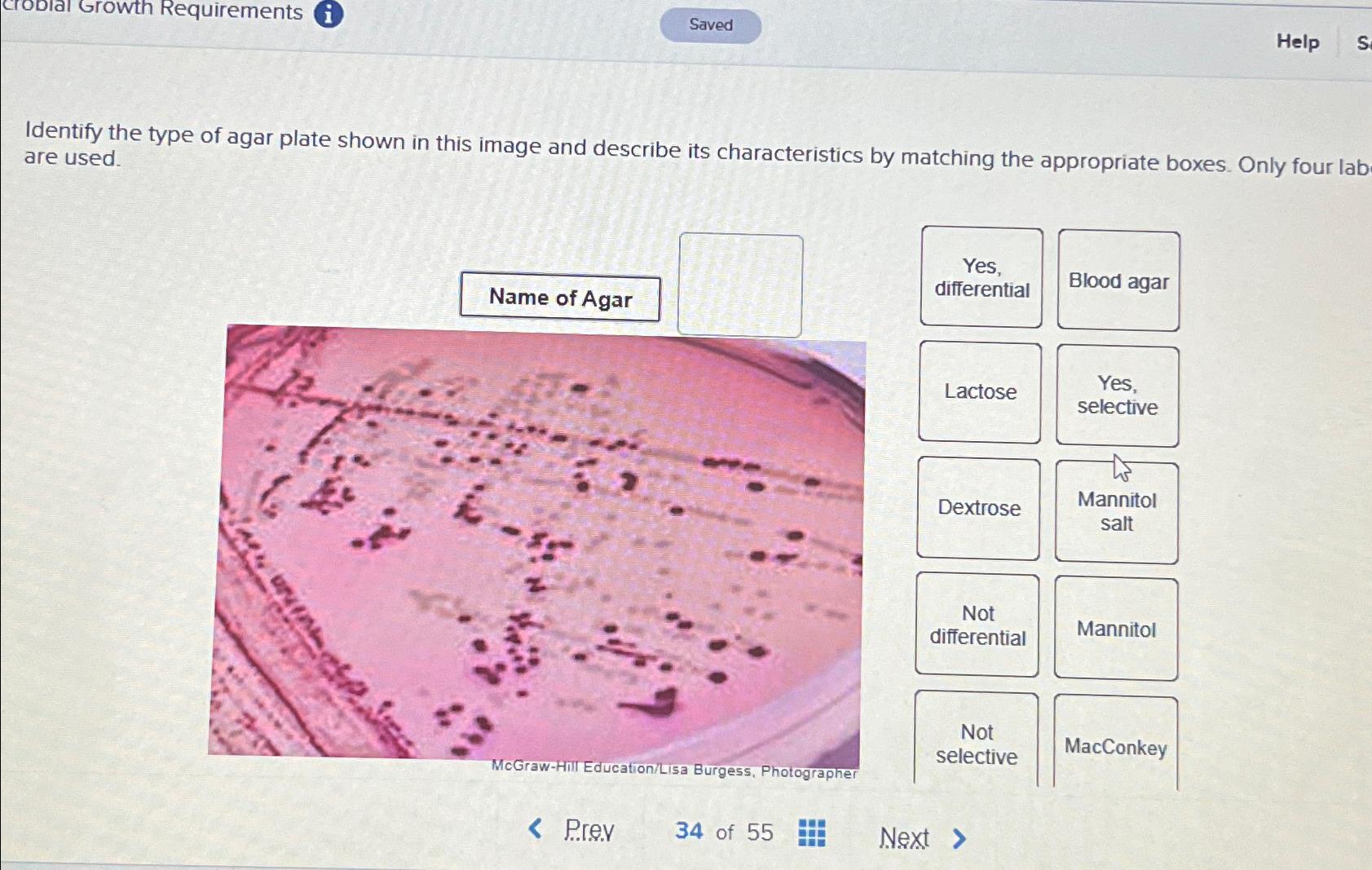 Solved Growth Requirements iHelpIdentify the type of agar | Chegg.com