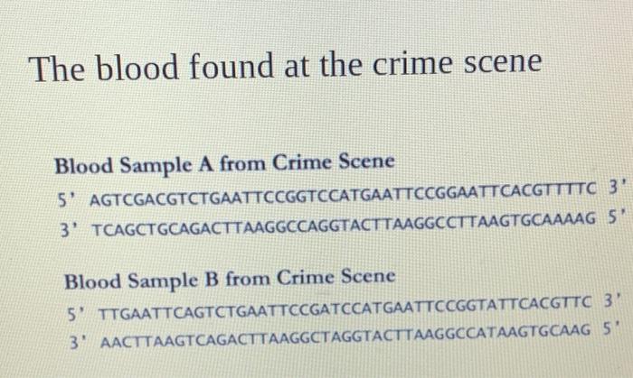 Solved EXERCISE 5-2: WHO DUNNIT? We will be using DNA | Chegg.com