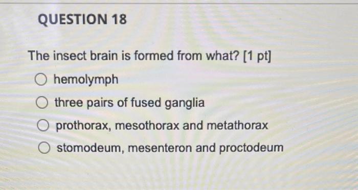 Solved The insect circulatory system consists of a single | Chegg.com