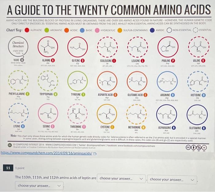 Solved A GUIDE TO THE TWENTY COMMON AMINO ACIDS | Chegg.com