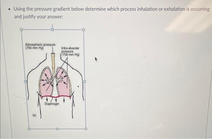 Solved - Using the pressure gradient below determine which | Chegg.com