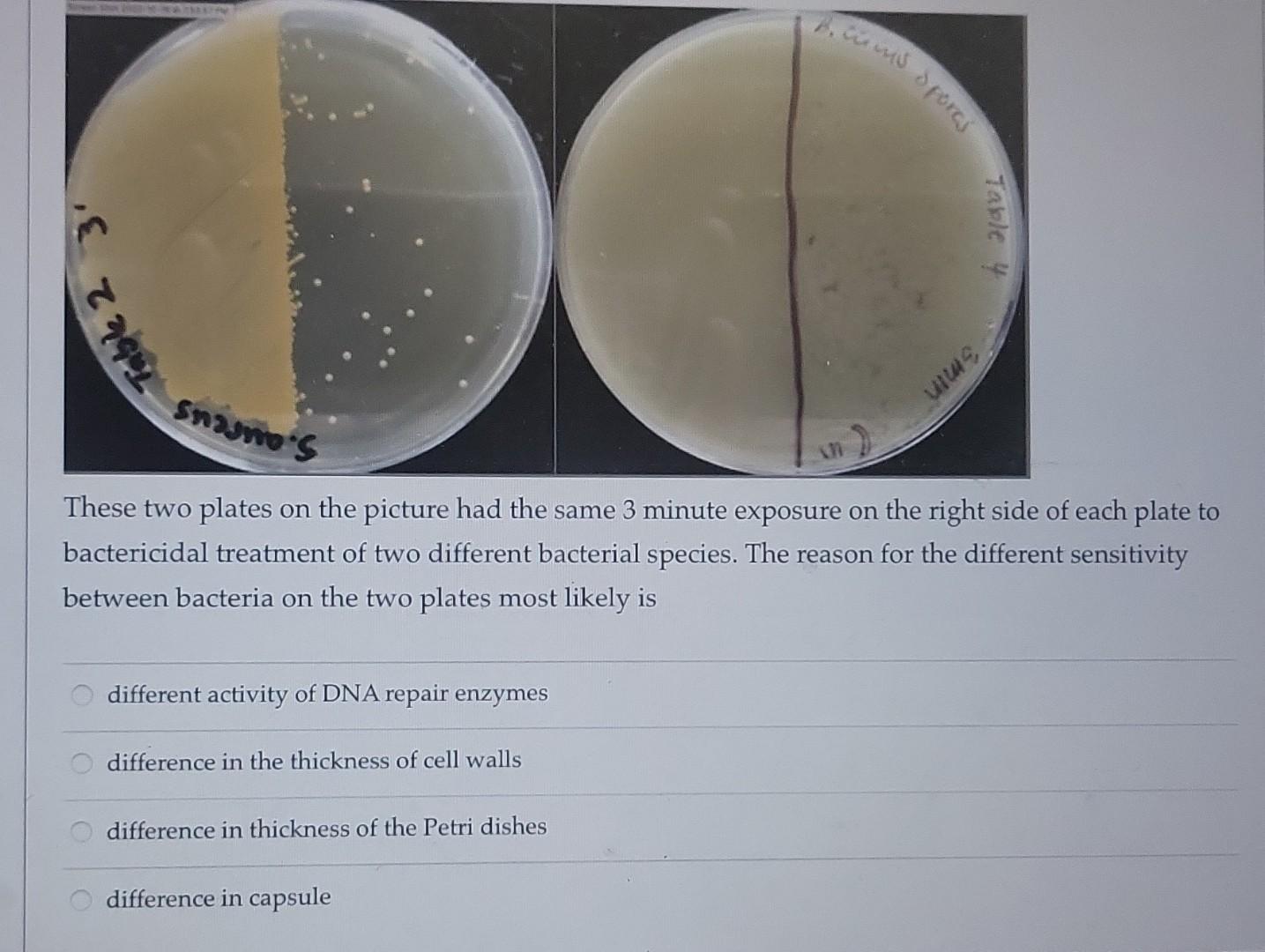 Solved This licture shows experiment UV sensitivity | Chegg.com