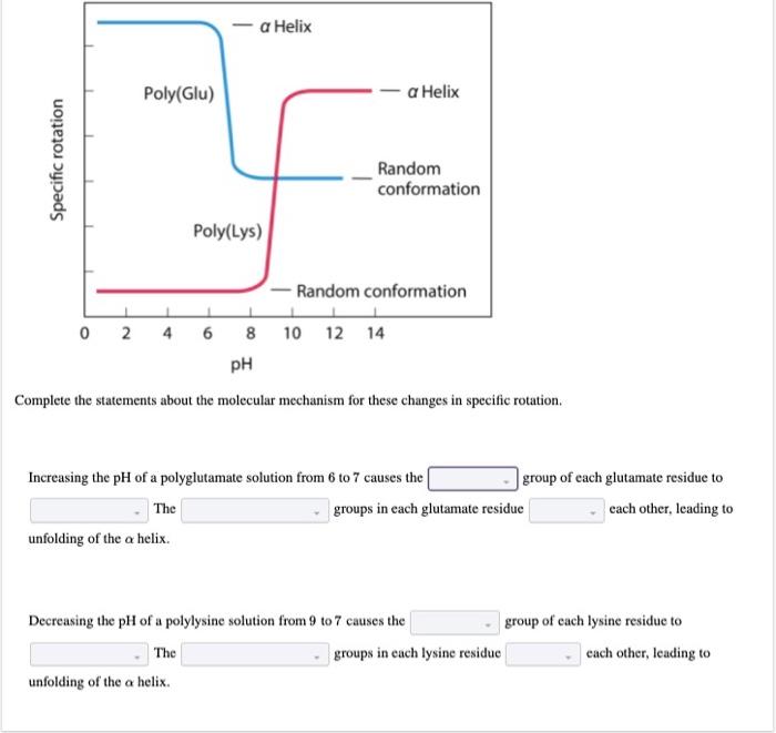 Solved - a Helix Poly(Glu) a Helix Specific rotation Random | Chegg.com