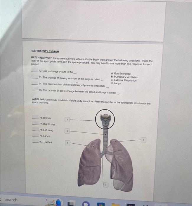 Solved RESPIRATORY SYSTEM MATCHING: Watch the system | Chegg.com