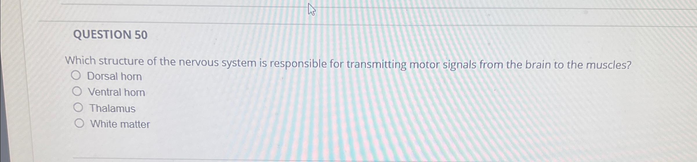 Solved QUESTION 50Which structure of the nervous system is | Chegg.com