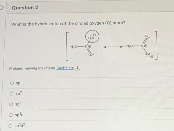Solved What is the hybridization of the circled oxygen (O) | Chegg.com