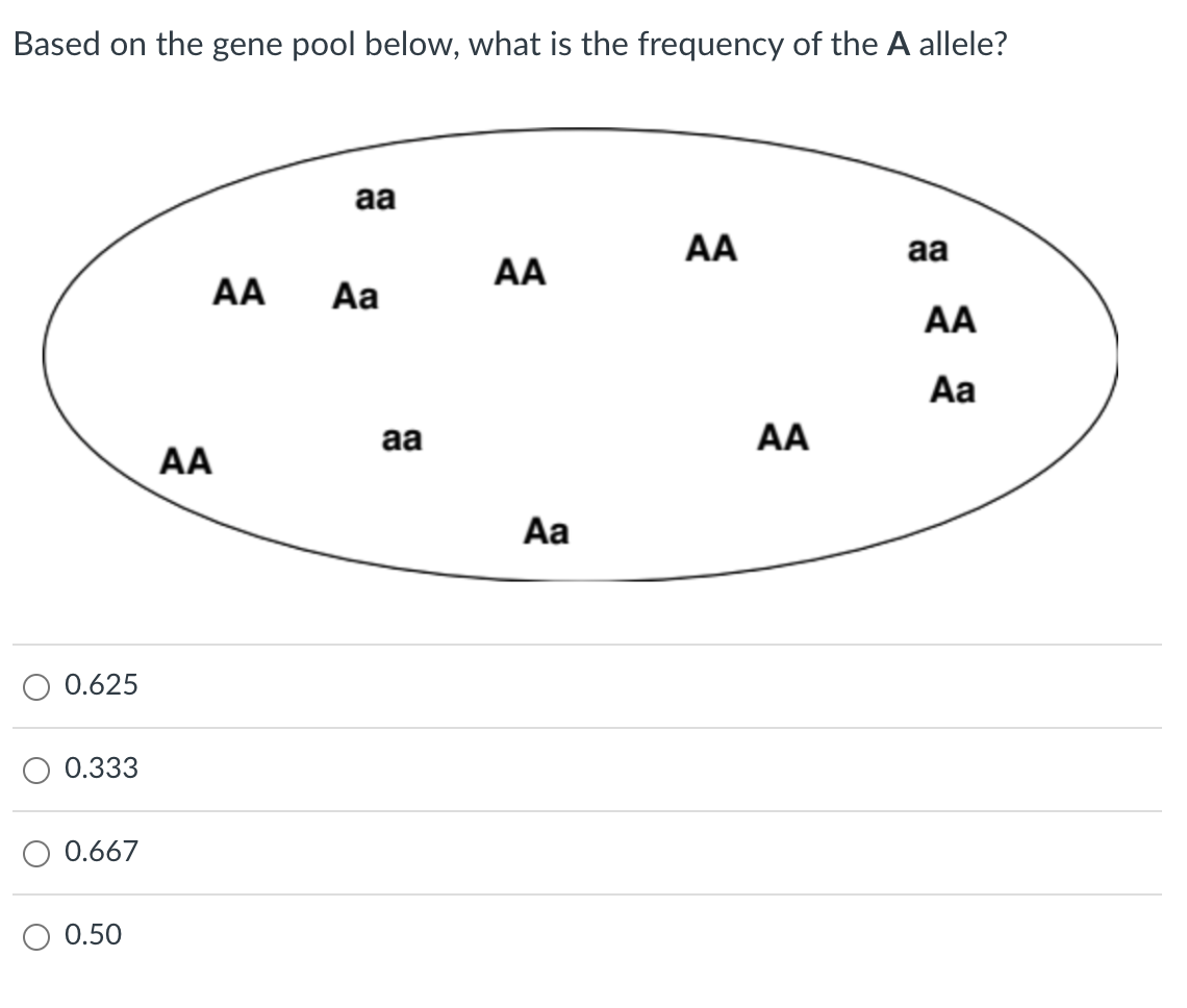 Solved Based on the gene pool below, what is the frequency | Chegg.com