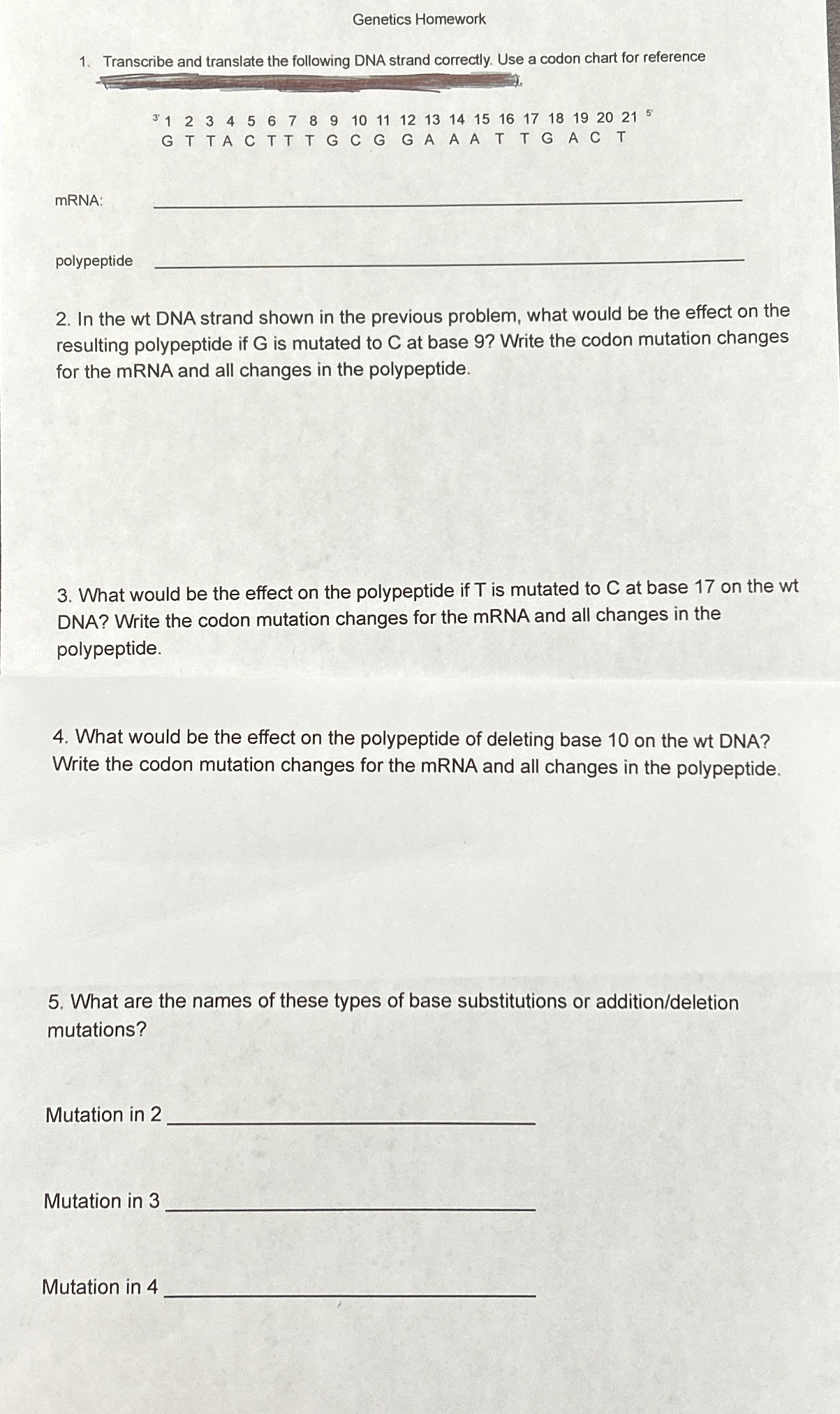 Solved Genetics HomeworkTranscribe and translate the | Chegg.com