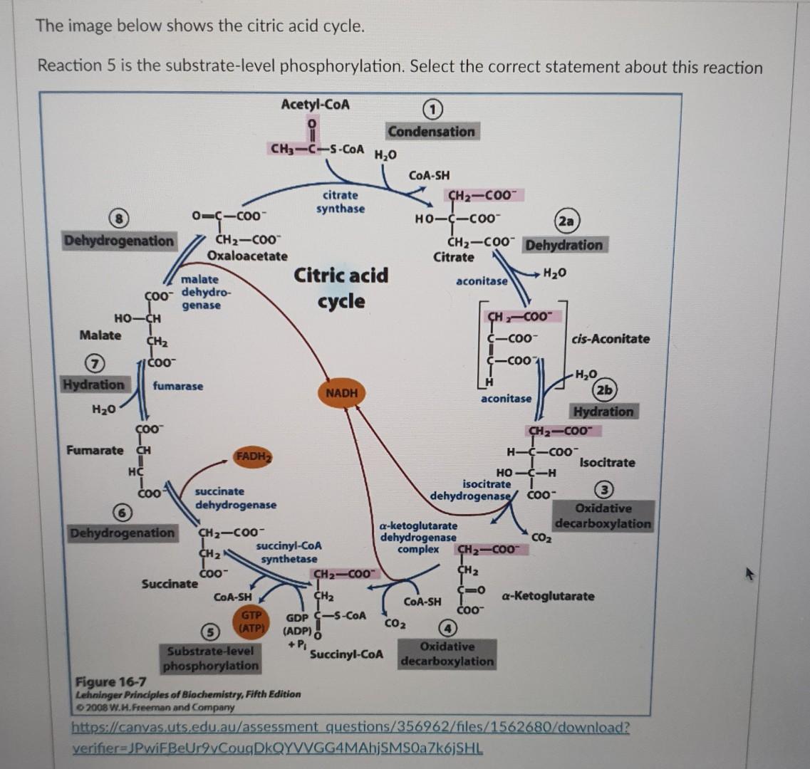 Solved The image below shows the citric acid cycle. Reaction | Chegg.com