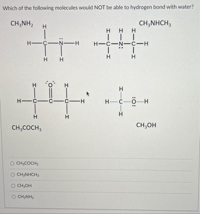 Solved Which of the following molecules would NOT be able to | Chegg.com