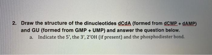 Solved 2. Draw the structure of the dinucleotides dCdA | Chegg.com