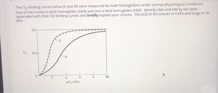 Solved The O2 binding curves below (X and W) were measured | Chegg.com