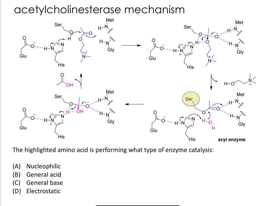 Solved acetylcholinesterase mechanismSerMetThe highlighted | Chegg.com