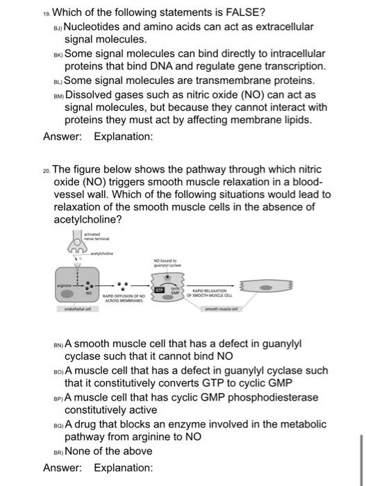 Solved 18. The following is correct regarding calmodulin: | Chegg.com