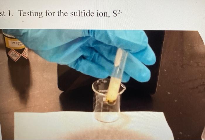 Solved Experiment 9: Qualitative Analysis of Common Anions | Chegg.com