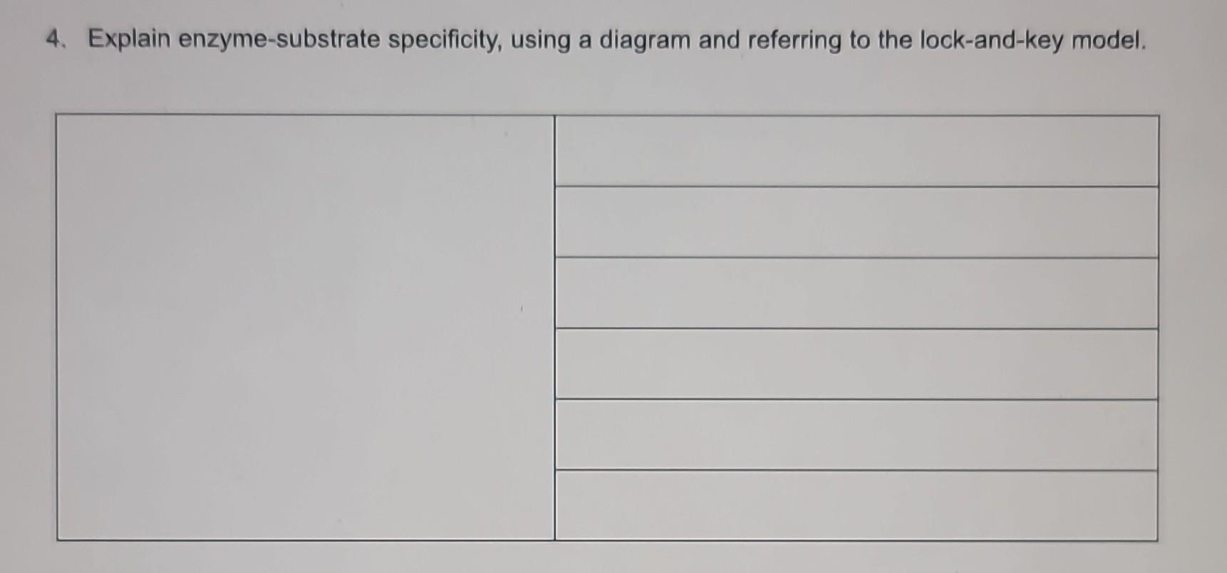 4 Explain Enzyme Substrate Specificity Using A