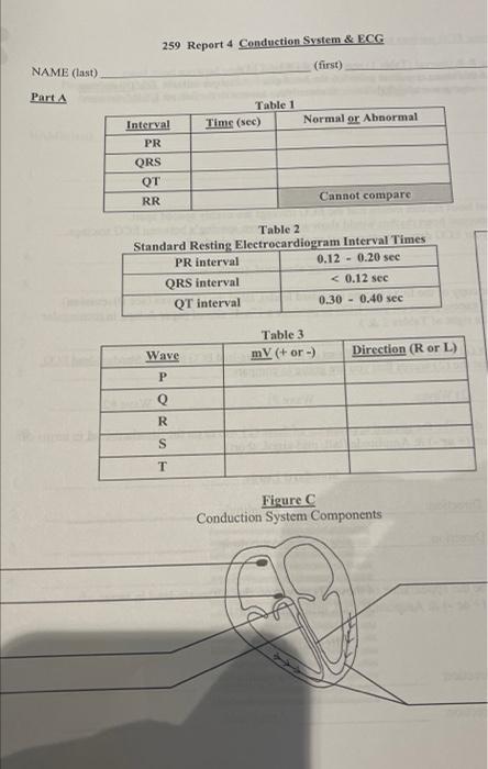 [Solved]: NAME (last) Part A 259 Report 4 Conduction System