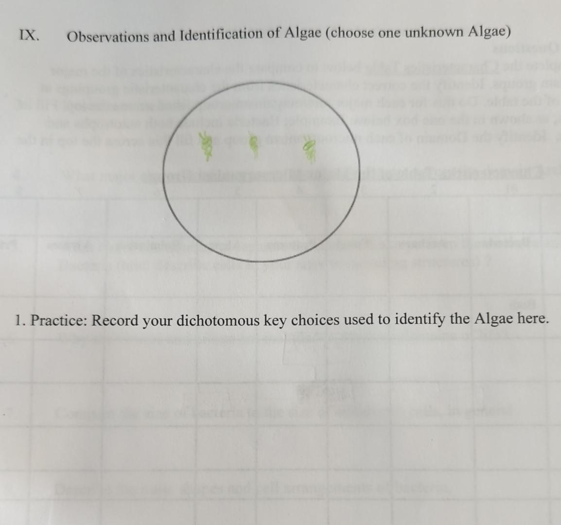 Solved Please help create a dichotomous key for the rough | Chegg.com