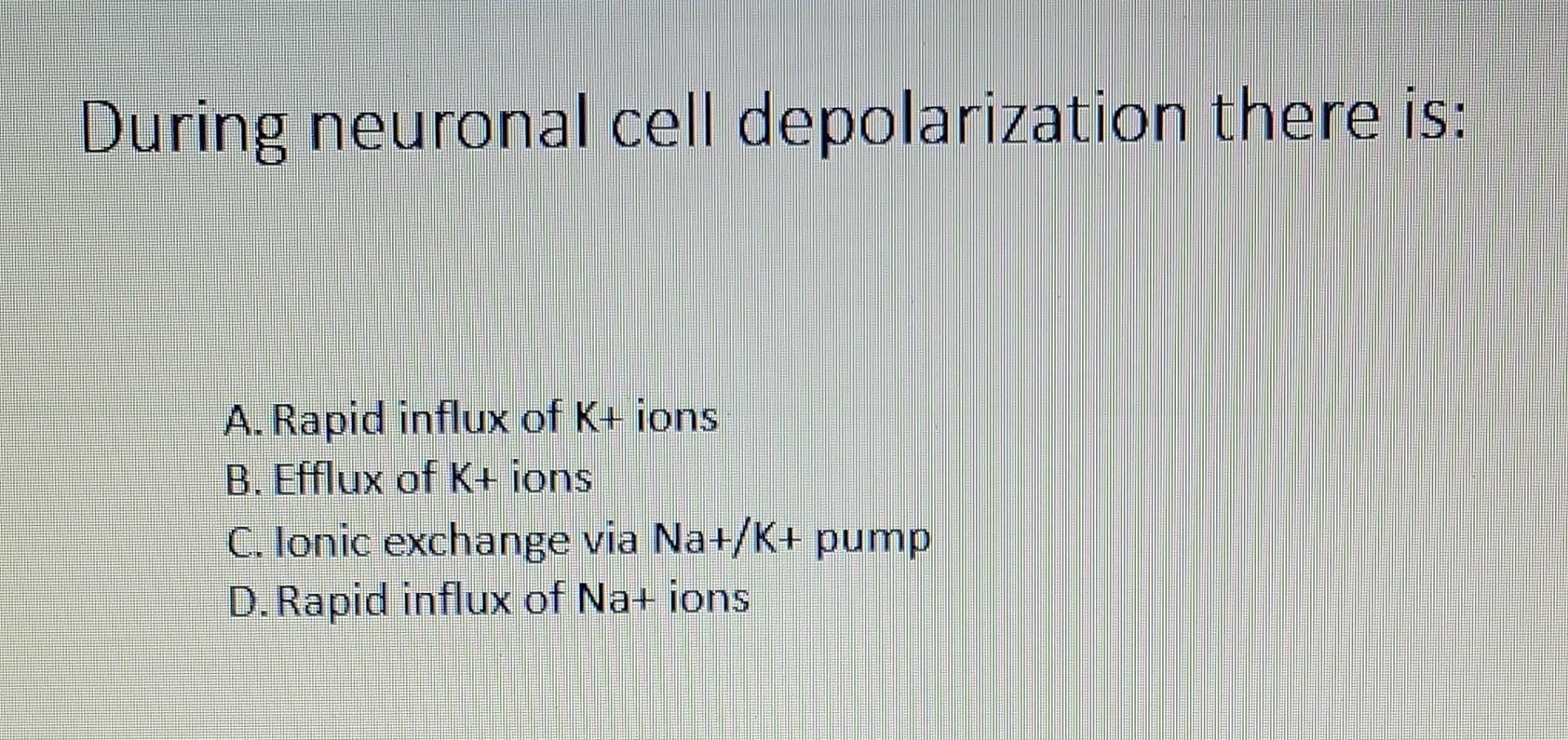 Solved During neuronal cell depolarization there is: A. | Chegg.com
