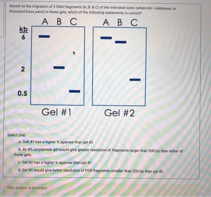 Solved Based on the migration of 3 DNA fragments {A, B, & C) | Chegg.com