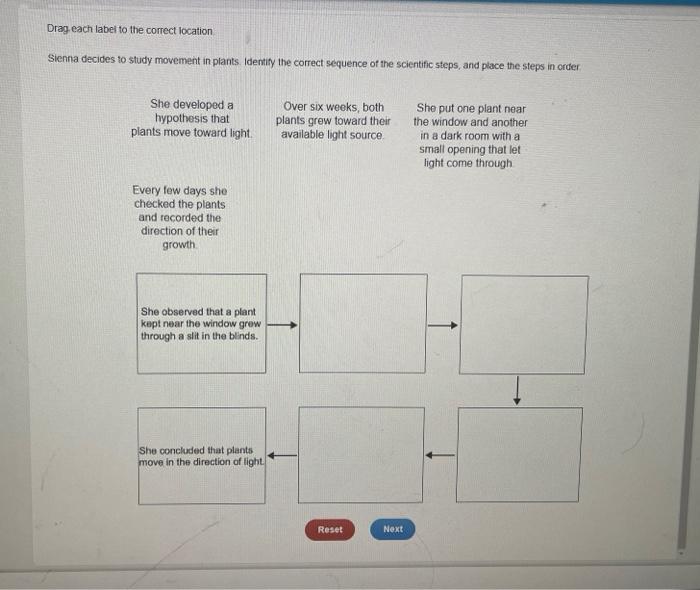 Solved Drag each label to the correct location Sienna dex | Chegg.com