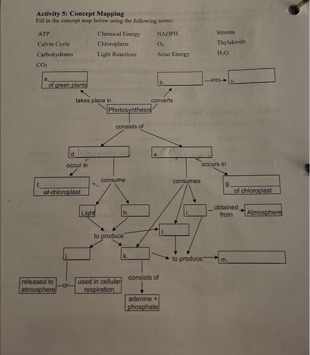 Solved Activity 5: Concept Mapping Fill in the concept map | Chegg.com Solved Activity 5: Concept Mapping Fill in the concept map | Chegg.com