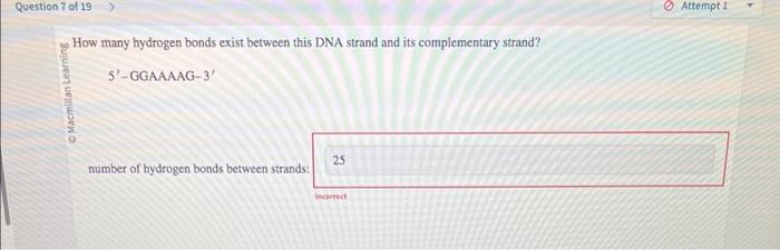 Solved What is the complementary sequence to the DNA strand | Chegg.com