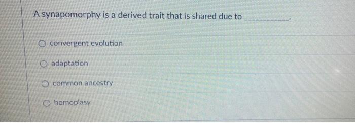 Solved A synapomorphy is a derived trait that is shared due | Chegg.com