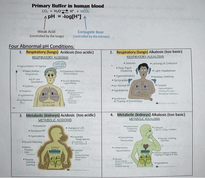Name Blood buffer worksheet III. Metabolic Acidosis | Chegg.com