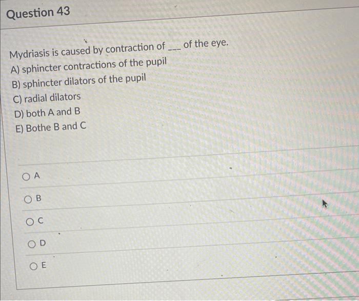Solved Mydriasis is caused by contraction of of the eye. A) | Chegg.com