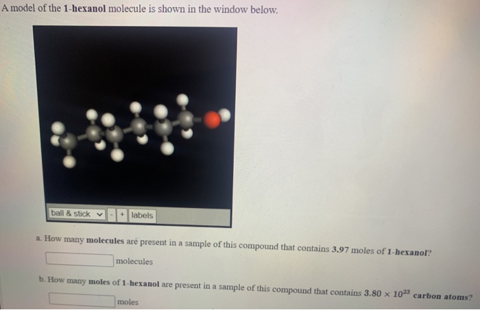 Solved A model of the 1-hexanol molecule is shown in the | Chegg.com