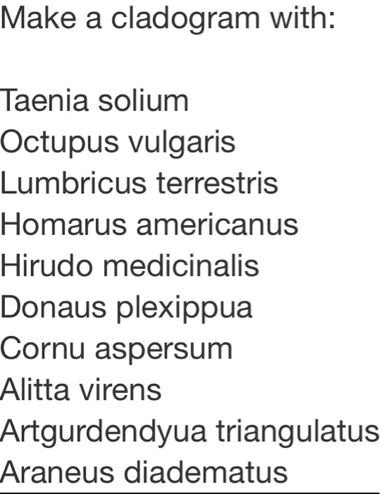 Solved Make a cladogram with: Taenia solium Octupus vulgaris | Chegg.com