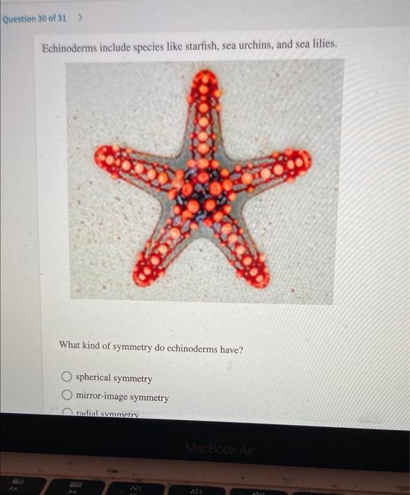 Solved Question 30 of 31 > 80 Echinoderms include species | Chegg.com